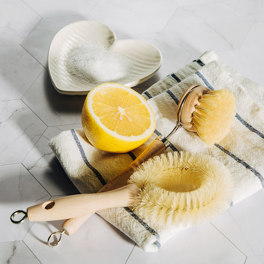 Eco-Friendly Spring-Cleaning Tips - Pittsburgh Earth Day