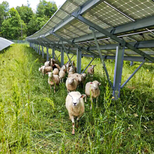 6 Ways to Harvest Solar Electricity - Pittsburgh Earth Day