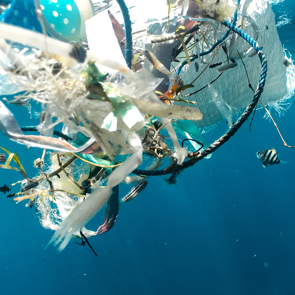 That Plastic-Free Life (In Eight Ways) - Pittsburgh Earth Day