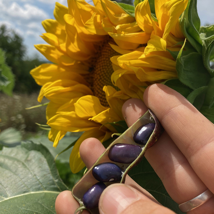 How to Support Local Farmers This Spring - Pittsburgh Earth Day