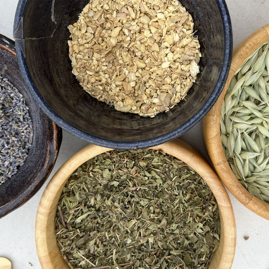 What’s Happening - Eco Events February-April in Pittsburgh - Pittsburgh ...